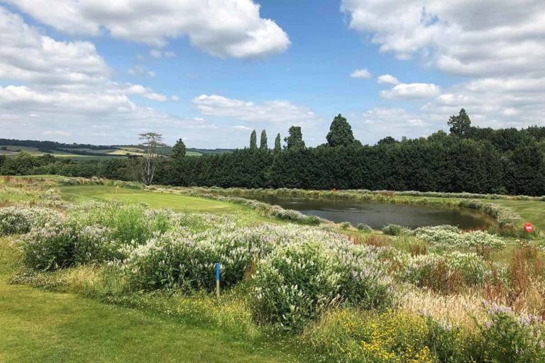Westerham Golf Course | Kent-Surrey | Image Gallery
